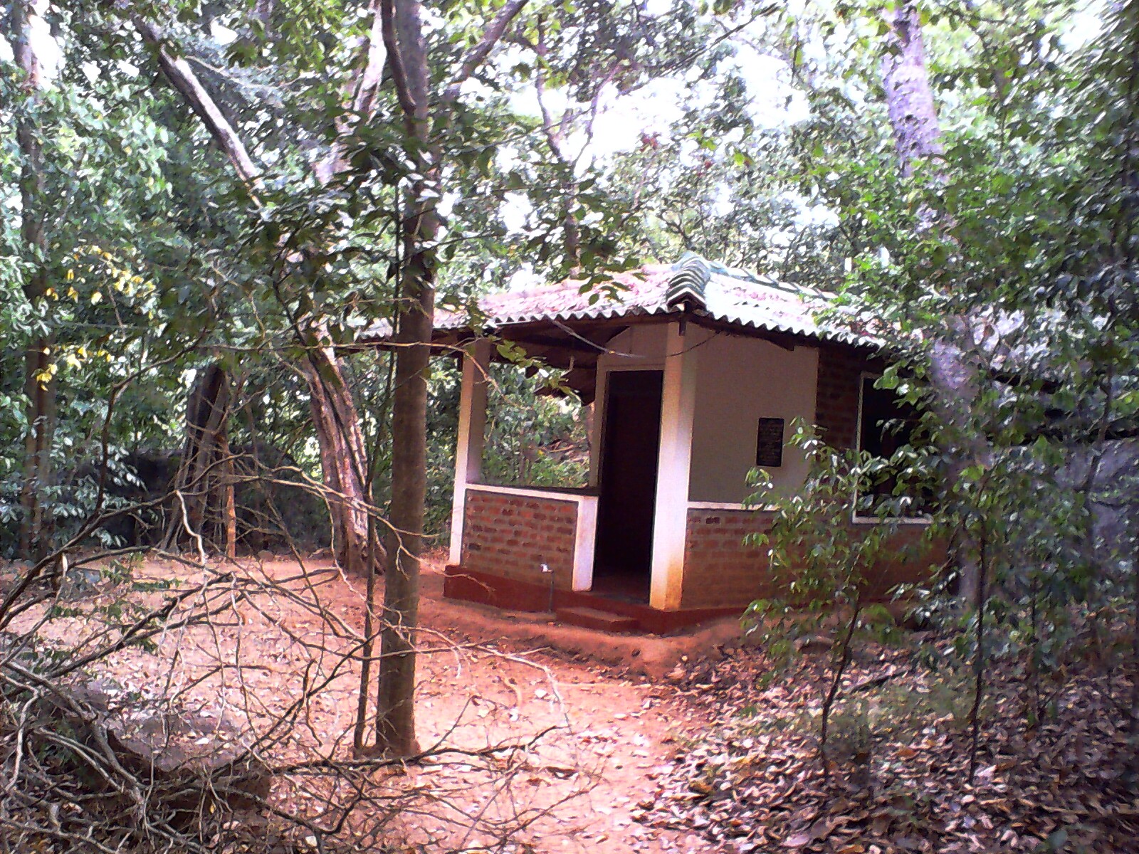 Nine Years in a Forest Monastery – The Universe