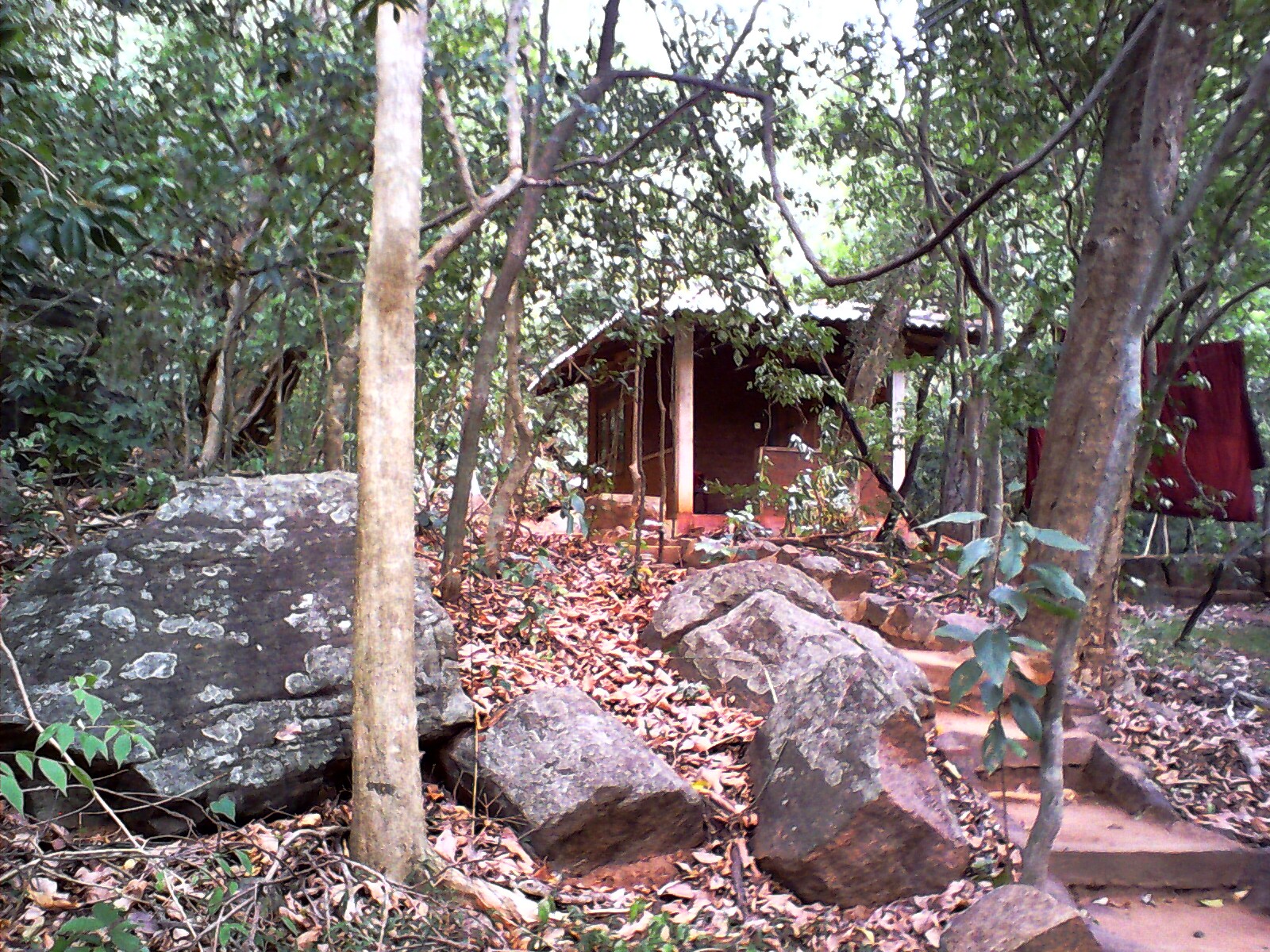 Nine Years in a Forest Monastery – The Universe