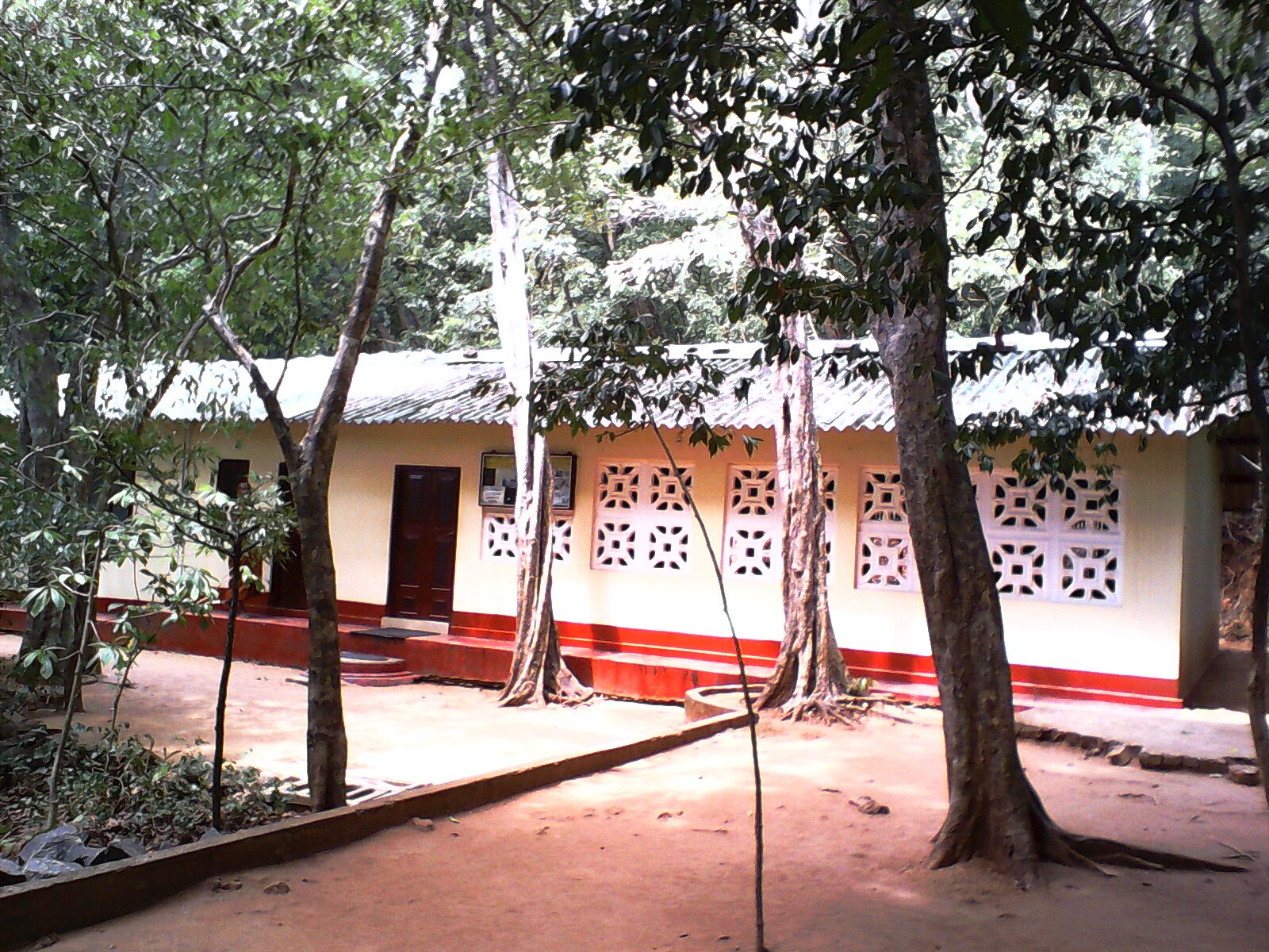 Nine Years in a Forest Monastery – The Universe